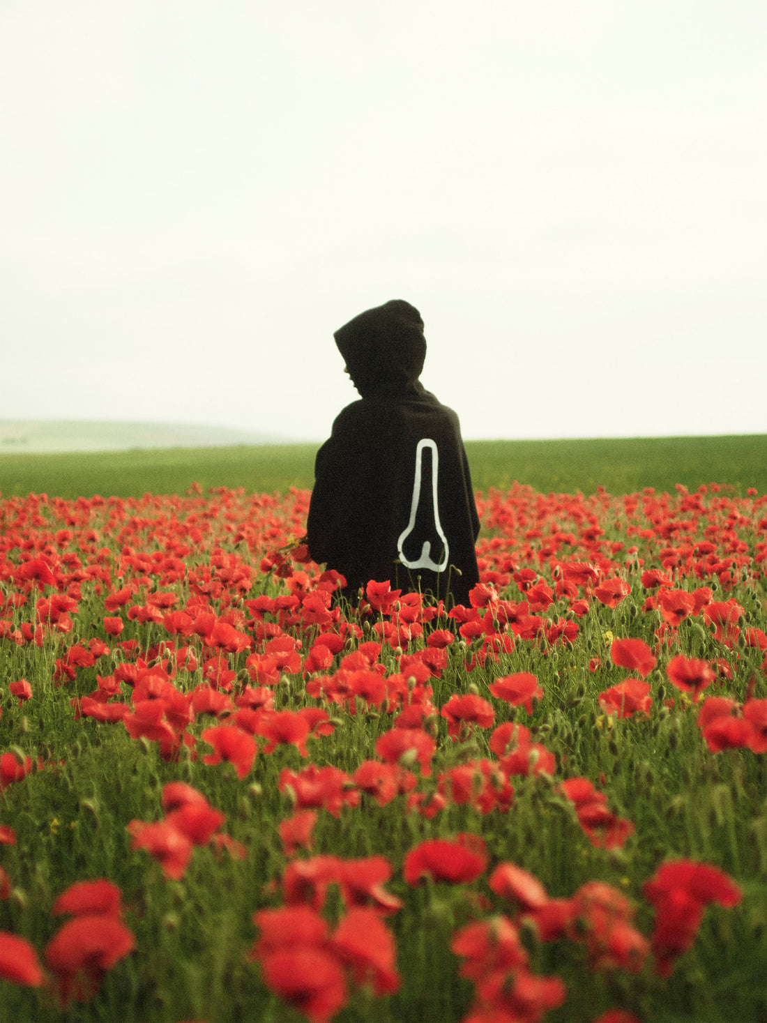 Official Website of ARIES™ – Aries