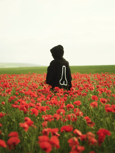 Official Website of ARIES™ – Aries